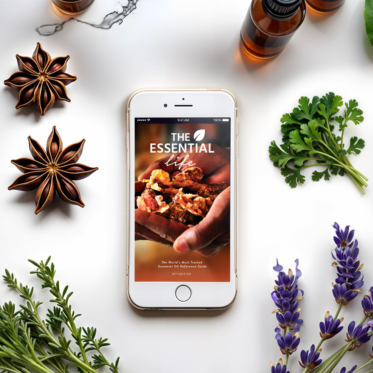 Essential Oil Supplies and Accessories for Aromatherapy | OIL LIFE ...